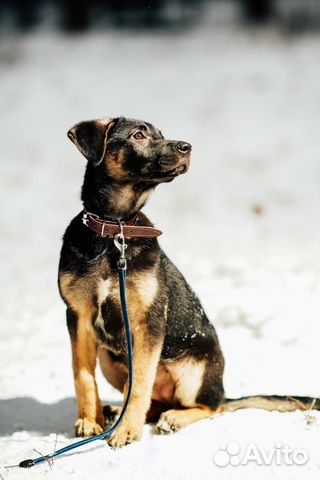 Малышка лея ищет маму И папу