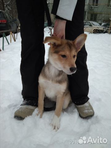 Очаровательная девочка