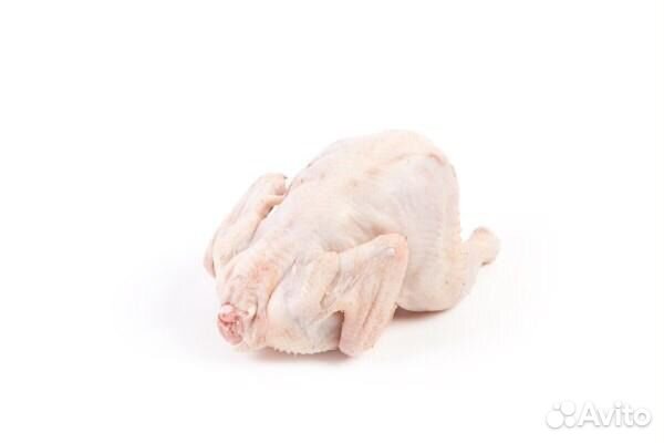 Цыпленок корнишон(табака) бройлеры