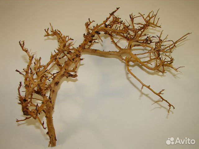 Коряги для аквариума