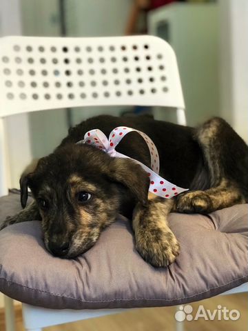 Любящей семье в дар