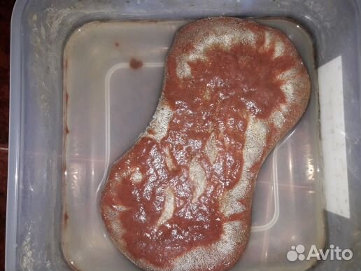 Живой корм: аулофорус, гаммарус ацтек, микрочервь