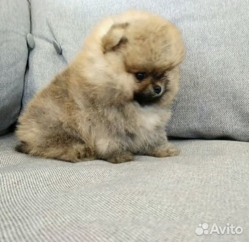 Мини девочка Ксюша