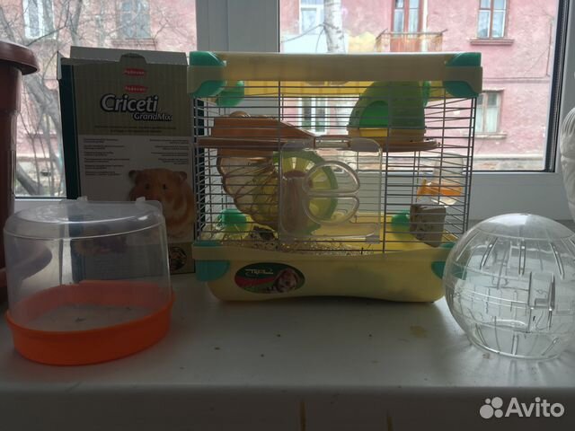 Хомячок с клеткой