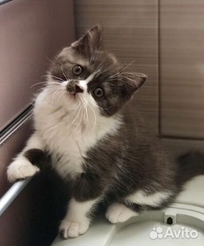Милашки