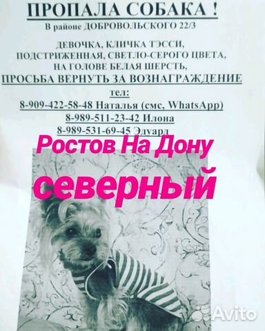 Пропала девочка Йорк