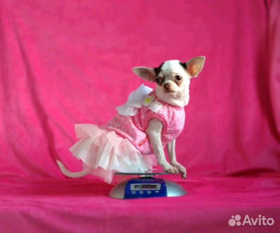 Мини и микро