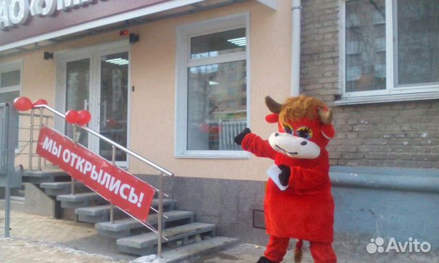 Овцы, бараны