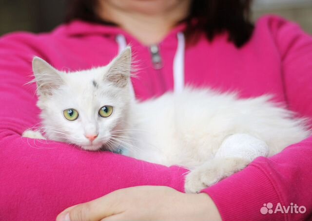 Особенная, нежная девчушка Вилма