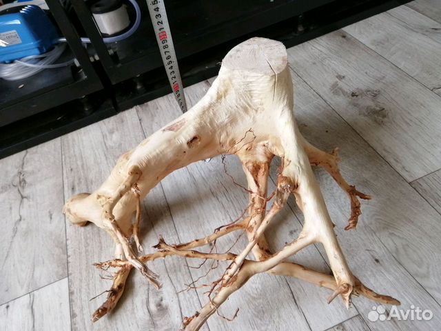 Коряги