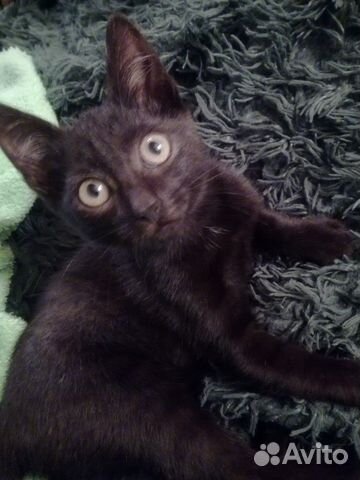 Девочка Ночка ищет любящую семью