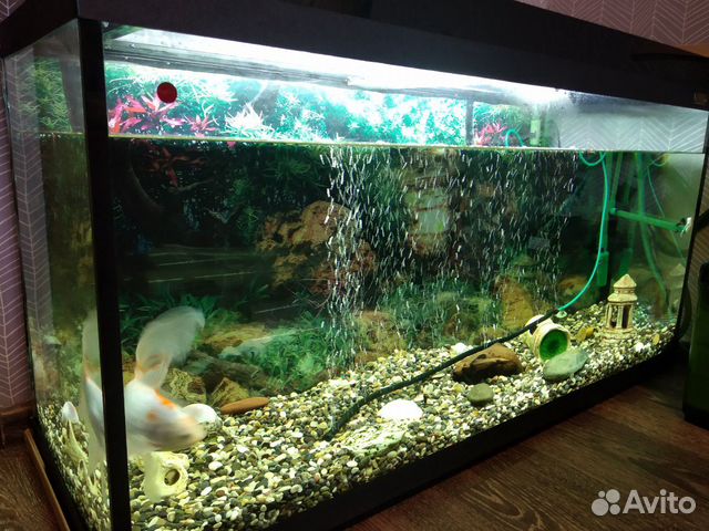 Аквариум