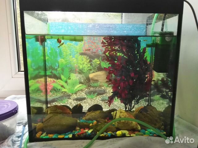 Аквариум