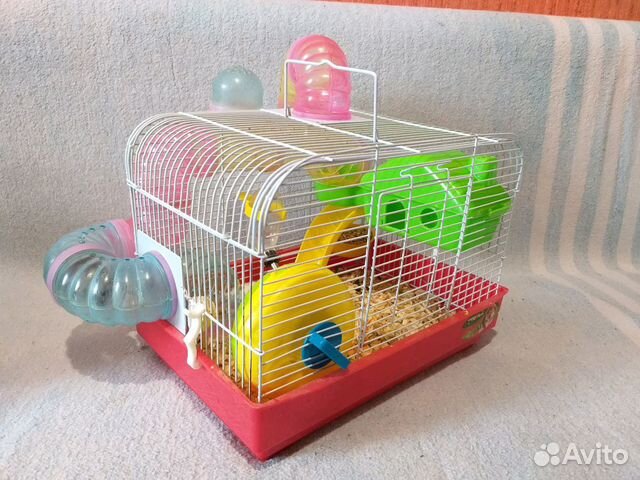 Отдам в дар двух джунгариков вместе с клеткой