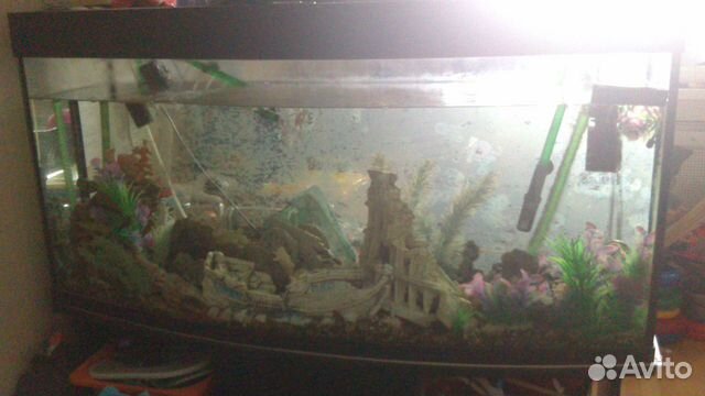 Отдам аквариум в хорошие руки