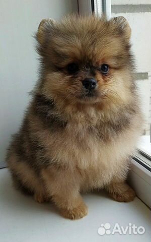 Мраморная девочка