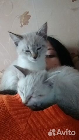 Помогите найти,умоляю