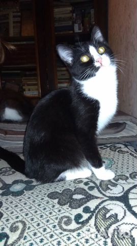 Юная леди ищет любящую семью