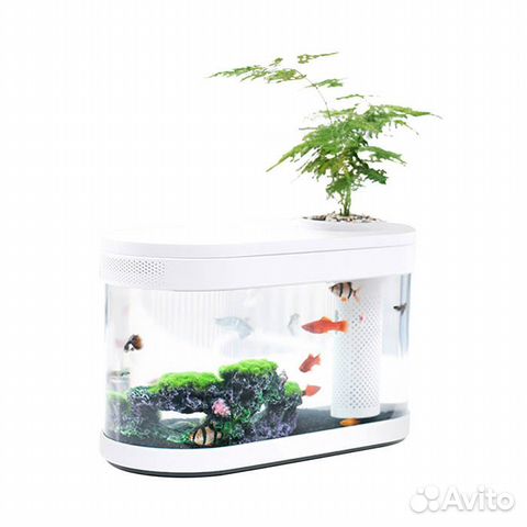 Аквариум Xiaomi Fish Aquaponics Ecosystem