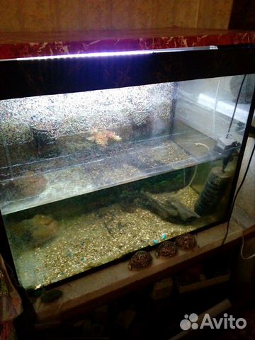 Аквариум 220лит