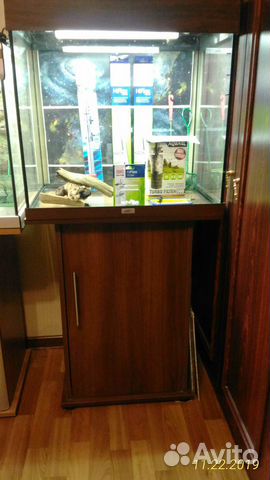 Аквариумы и комплектующие