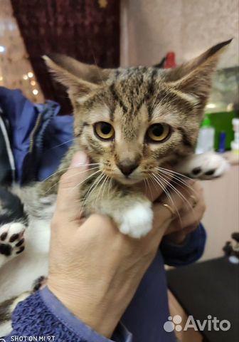 Кнопочке некуда идти