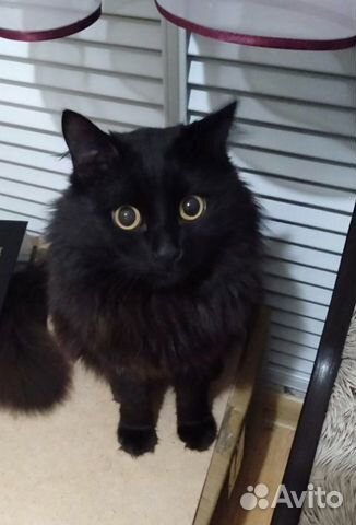 В самые надежные руки