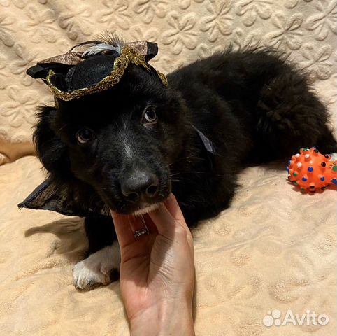 Мальчик ищет дом