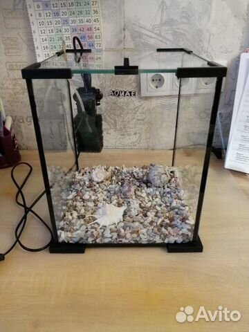 Аквариум