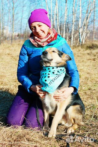 Собака Веня в добрые руки