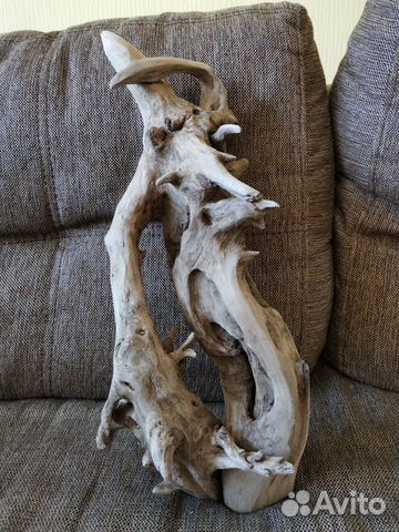 Шедевральная коряга Ива, 50 см