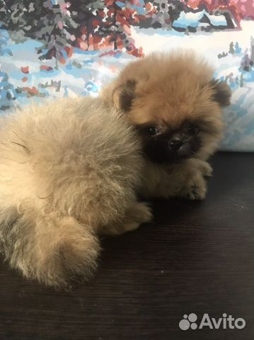 Милые пончики