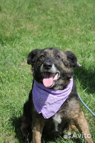 «Меня выбросили как мусор.Но я ведь живой»