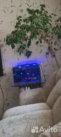 Диско шар