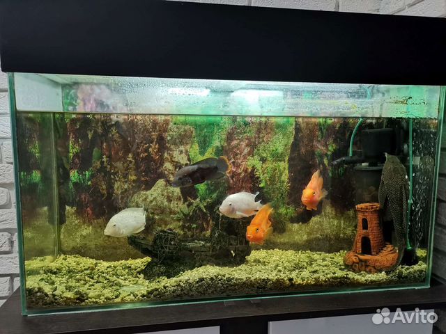 Аквариум с рыбками и тумба