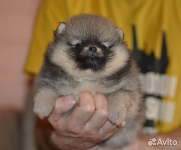 Очаровательная помочка