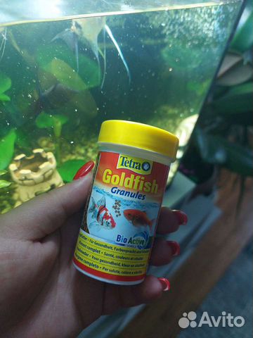 Tetra goldfish granules