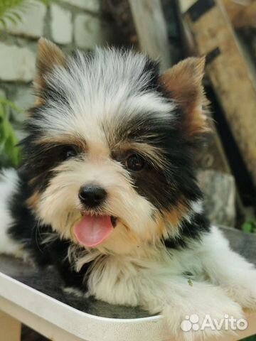 Один на миллион