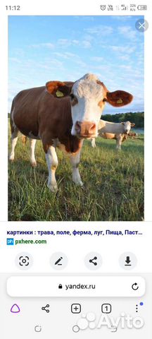 Продам крс