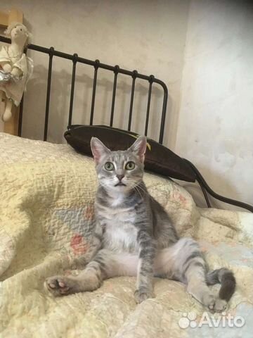 Возьми Дуняшу