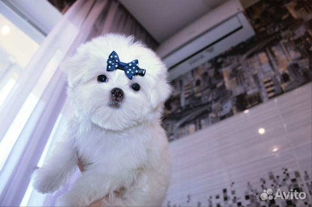 Кукольный мини малыш 2,5 мес