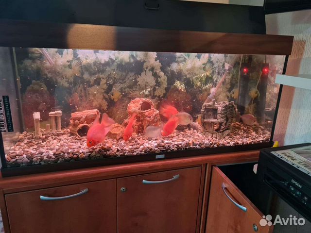 Аквариум с трубой 260л juwel