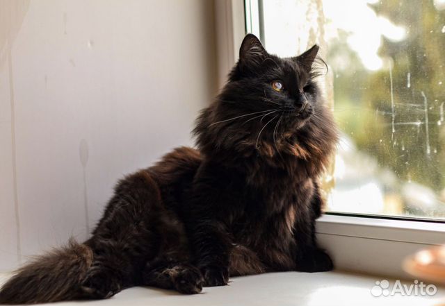 Особенная девочка Маргоша,в поиске дома