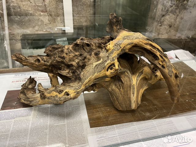 Коряга мангровая для оформления аквариума