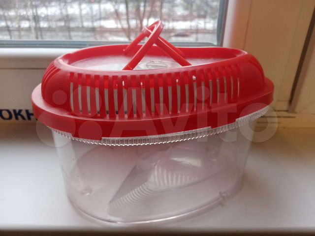 Аквариум переноска