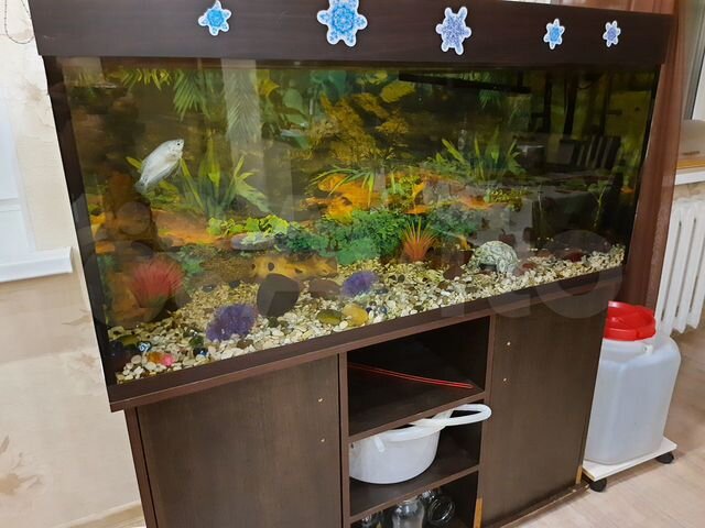 Аквариум 240 л