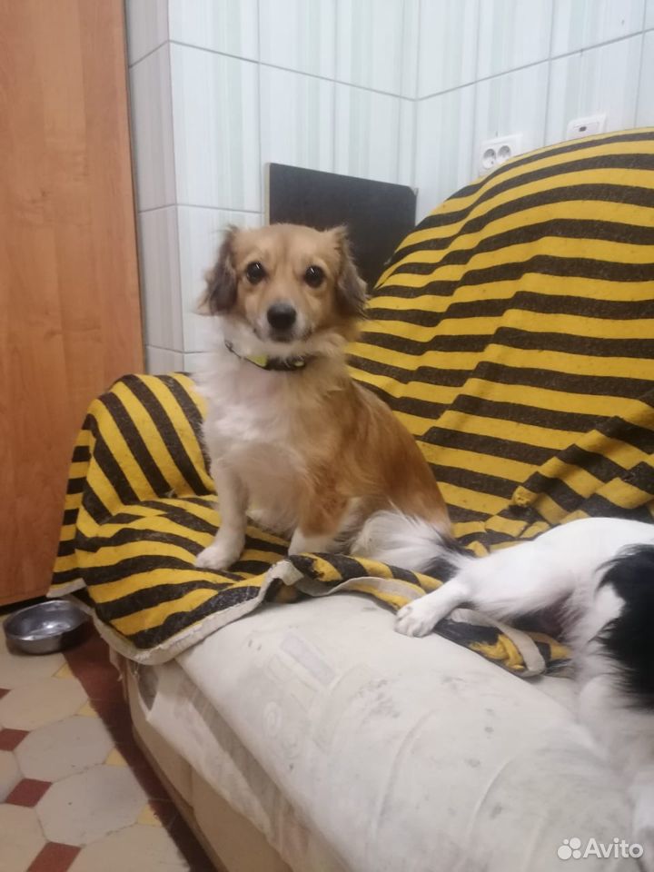 Маленькая и ласковая Нюра