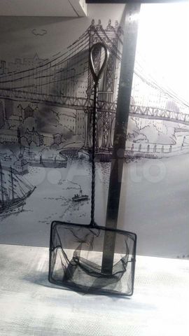 Сачок для рыб